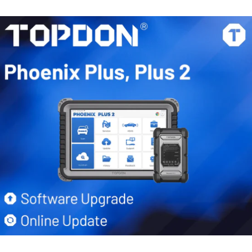 Phoenix Plus One-Year Update